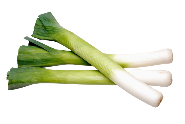 Leeks (~1pc) – HF Food