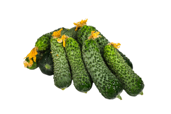 Village cucumbers Uzbekistan – HF Food